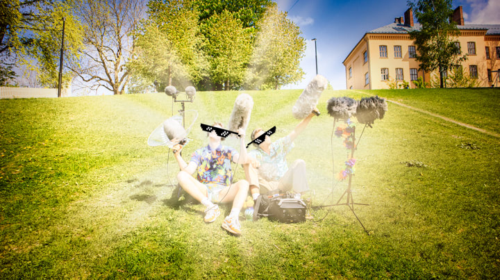 Soundly | The Complete Sound Effect Platform